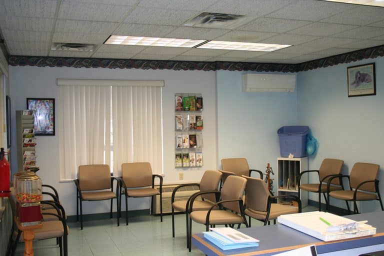 Reception_Waiting_Room - Munhall Veterinary Hospital