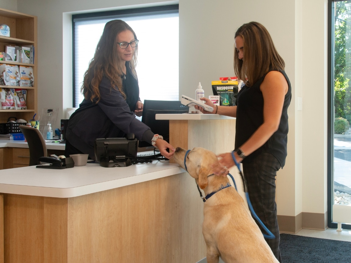 Munhall Veterinary Hospital Checkout - Munhall Veterinary Hospital